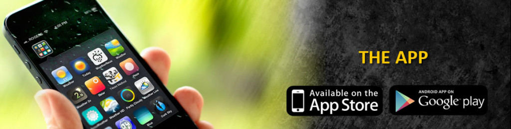 Mobile App - Hatch Squat Program